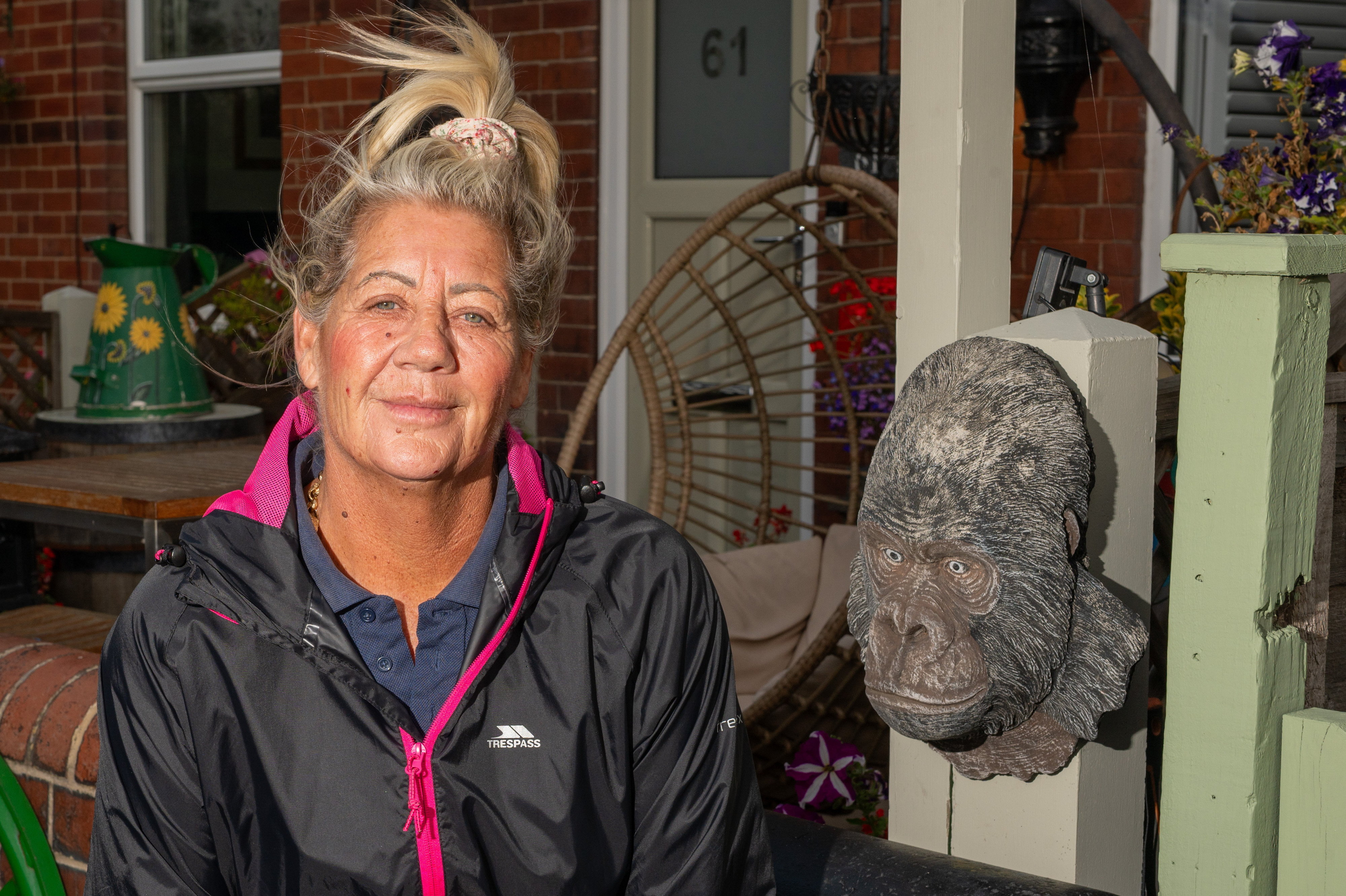 'I can't believe this fuss over a gorilla': Homeowner faces £20k fine ...