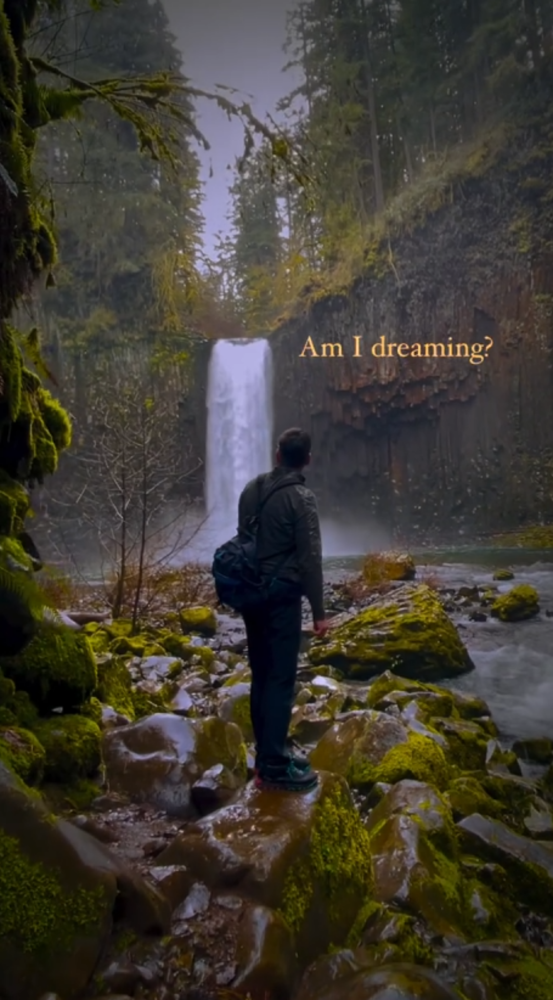 The magic of escaping into a real-life fairytale forest