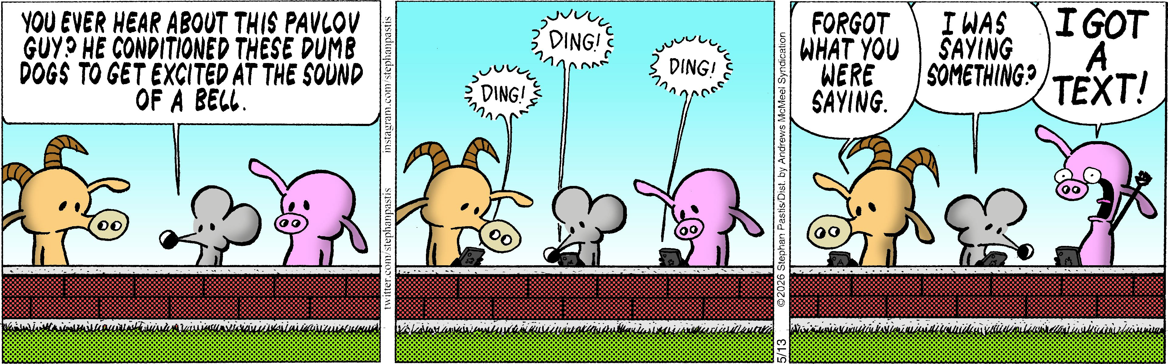 Pearls Before Swine by Stephan Pastis
