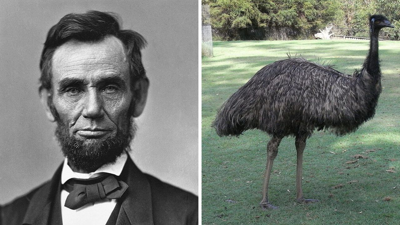 20 times history proved to be wilder than you think