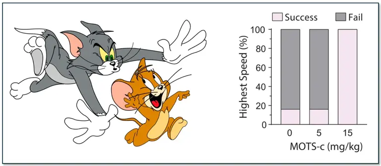 The peptide that mimics exercise... I’m testing it