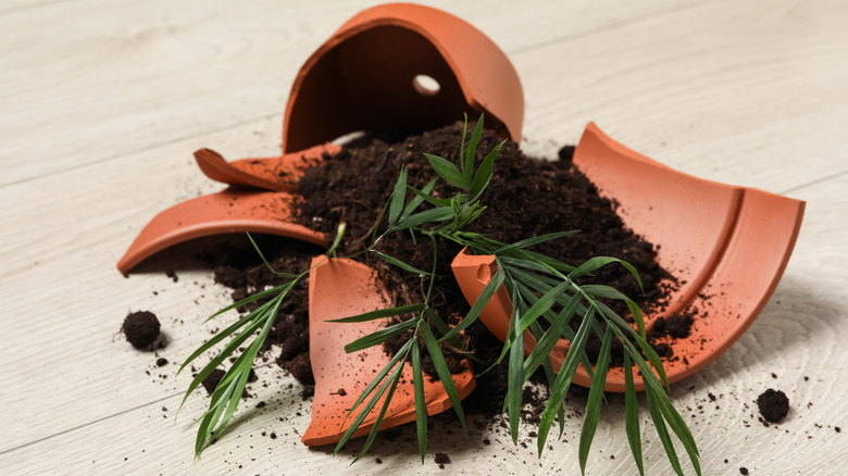 Broken plant pots? 13 clever ideas to turn them into cute garden decor