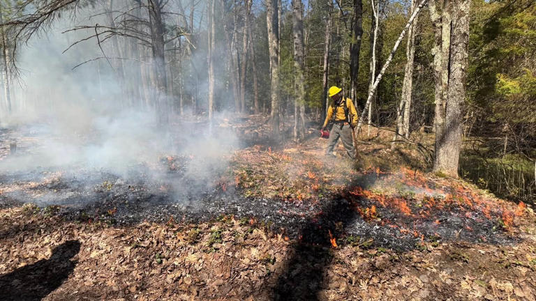 Park service burns 1,100 acres at Sleeping Bear Dunes. Why they did it