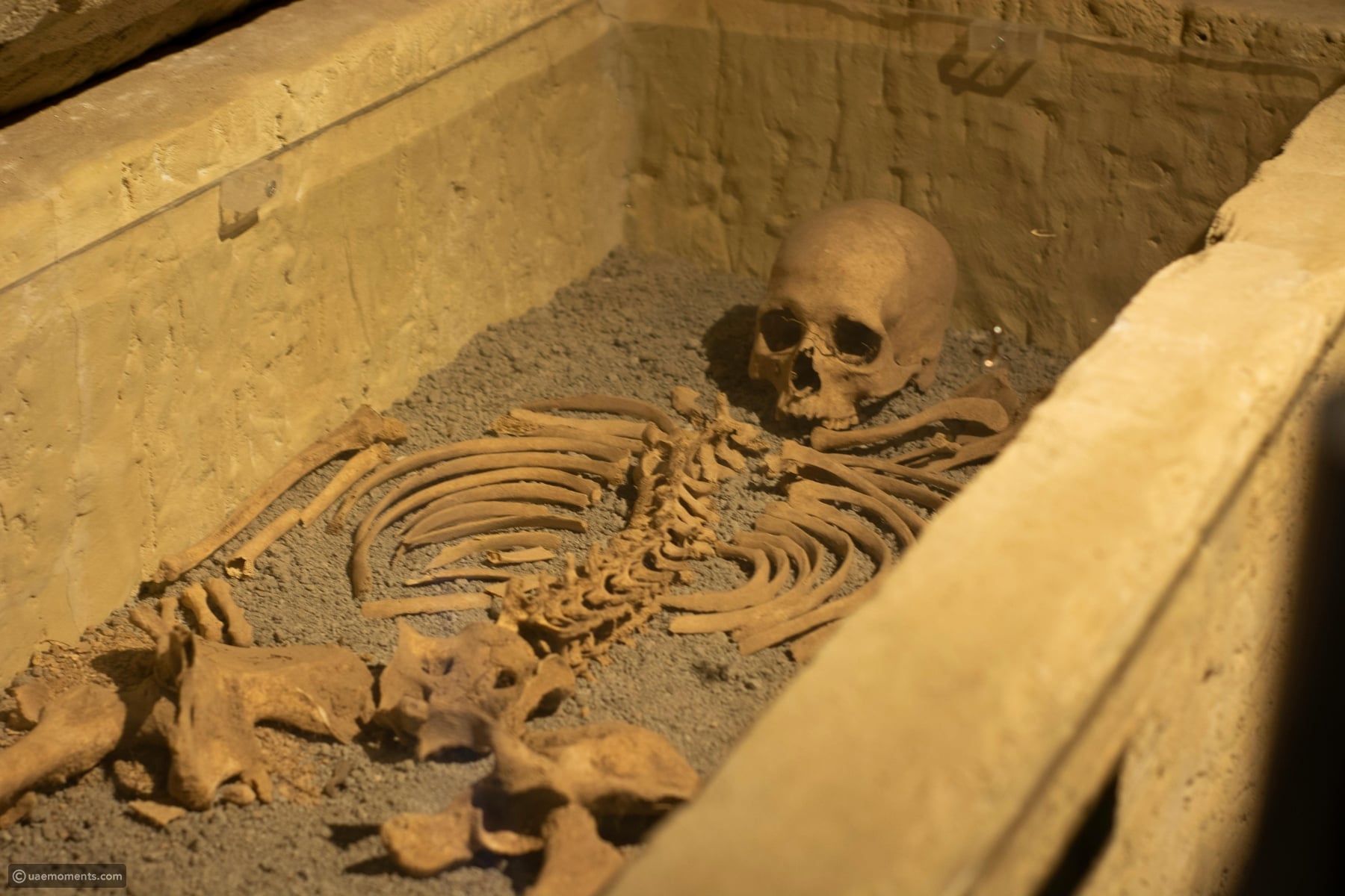 Scientists discover a 57,000-year-old mystery hidden inside a cave