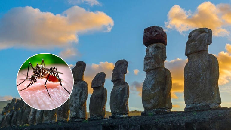 Mantienen alerta amarilla en Rapa Nui por brote de dengue que ya ...