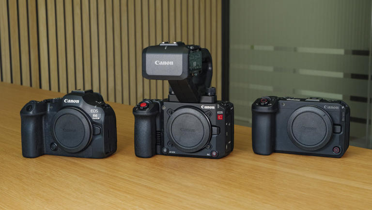 Canon EOS R6 V vs EOS R6 III and EOS R50 V: here are 5 things you need ...