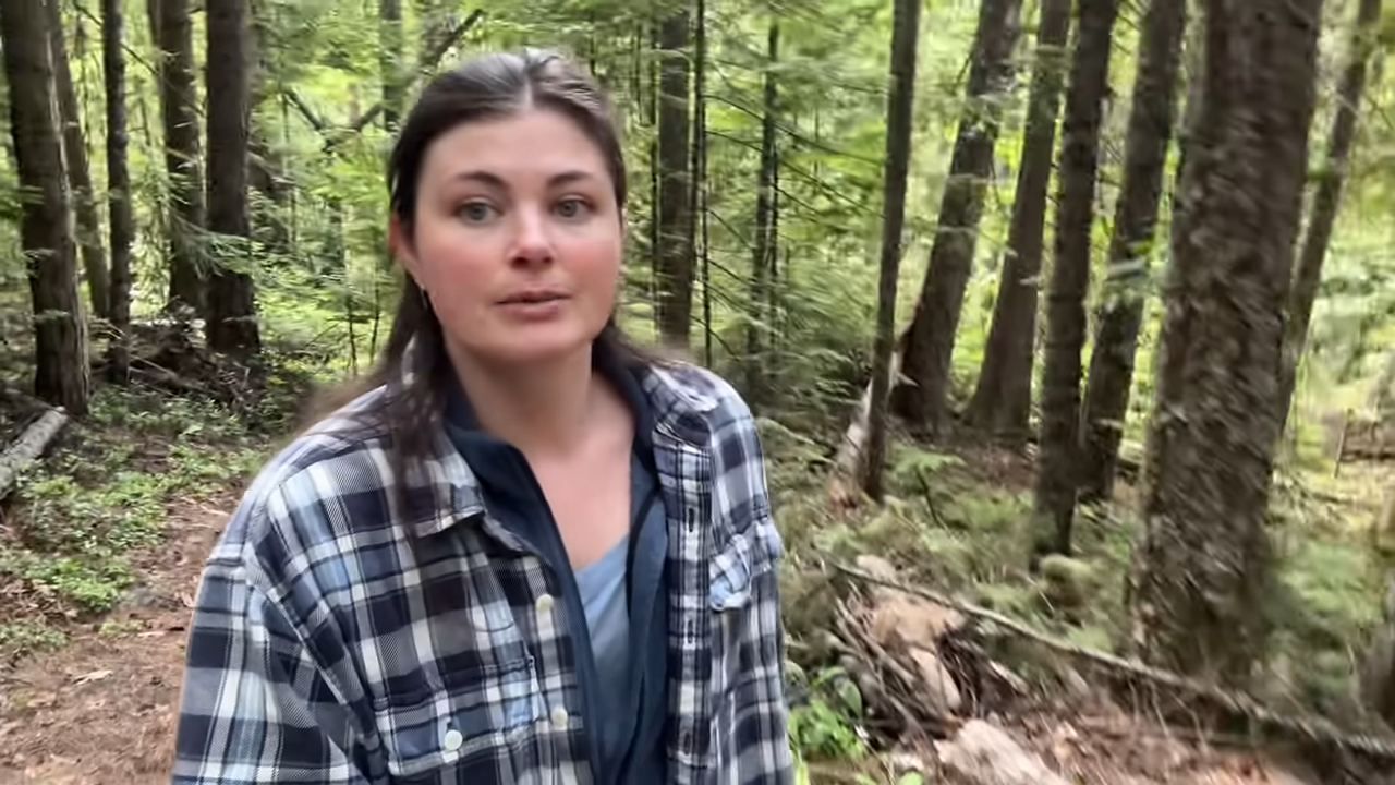 She looked at the security footage and realized bears were all around ...