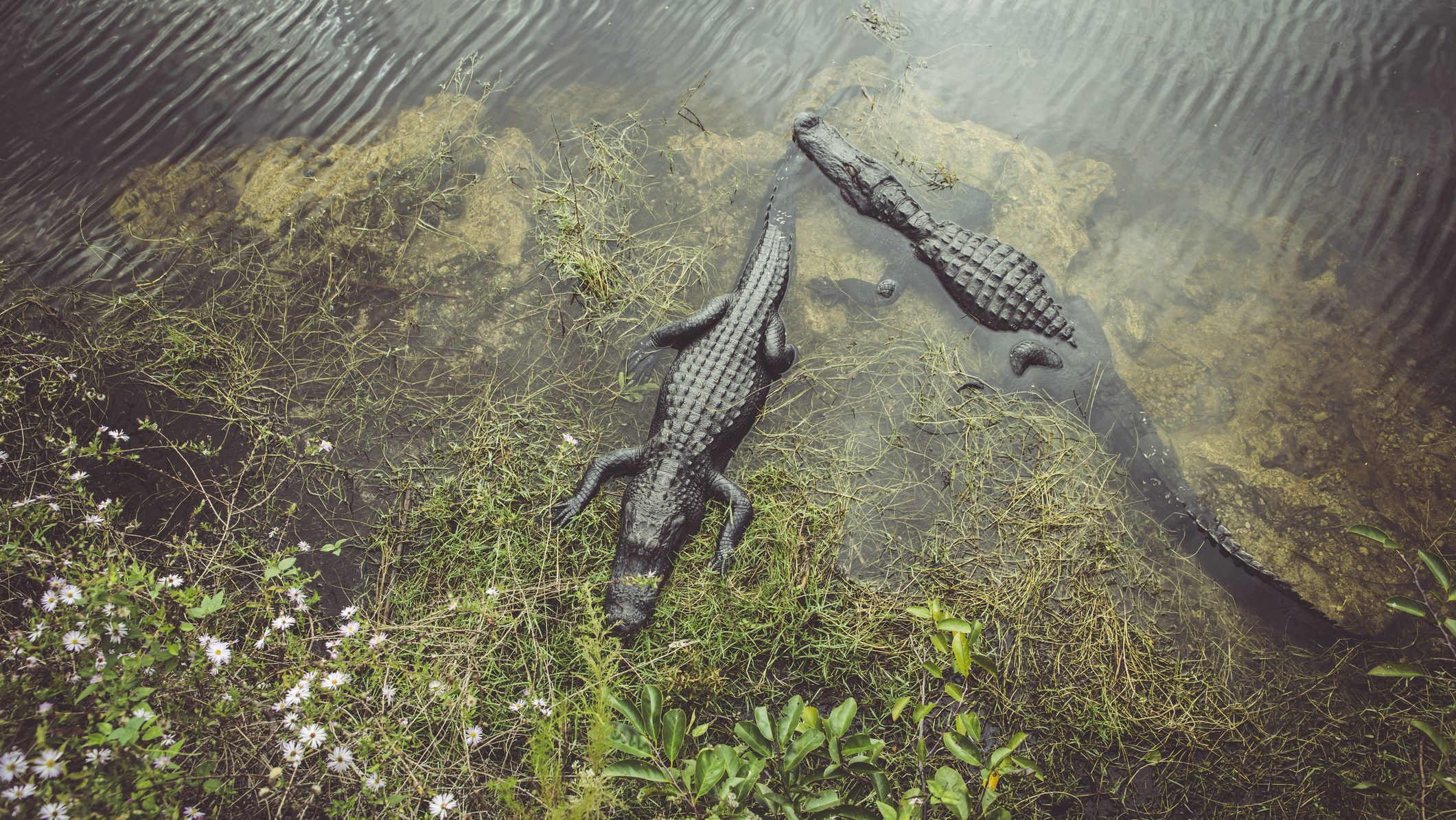 5 easy day trips from Miami (beaches, keys, and more)