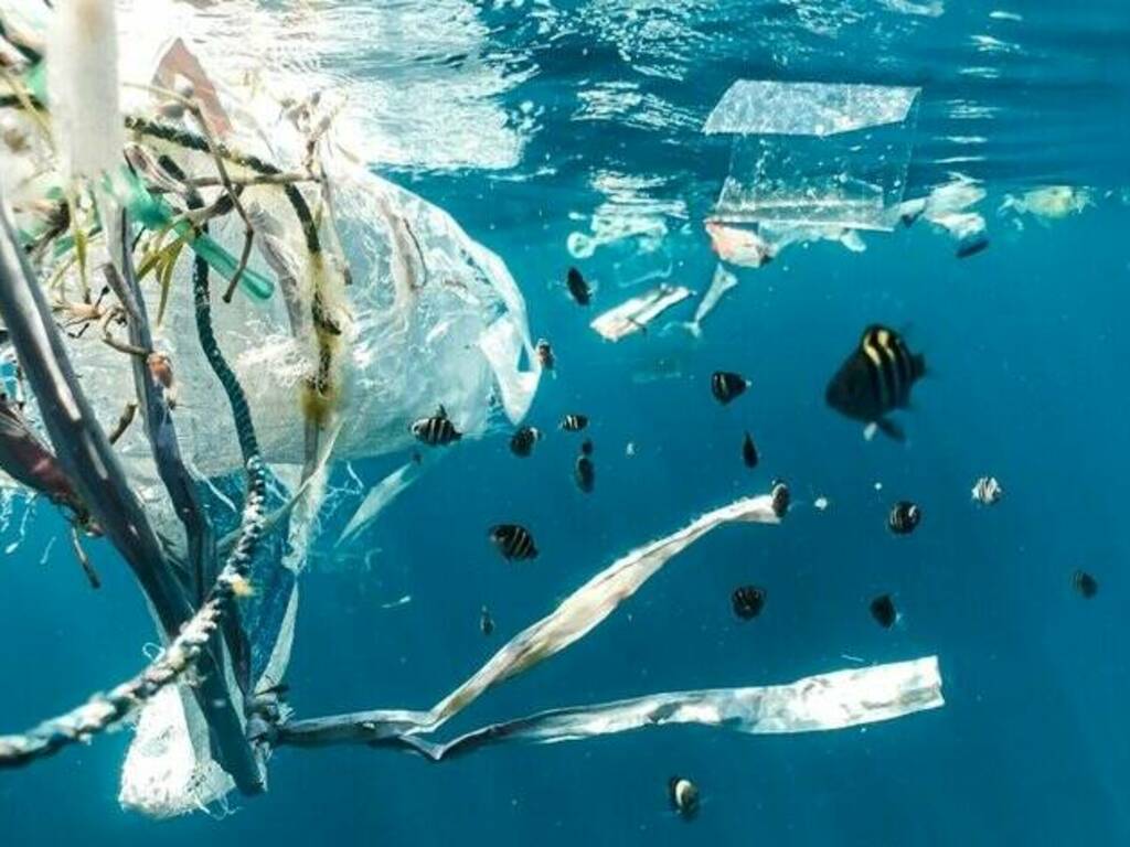 Festival dello sviluppo sostenibile a Genova il 20 maggio, focus sul mare