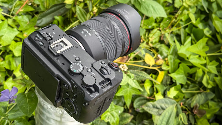 The Canon EOS R6 V might be the perfect camera. But is it perfect for you?