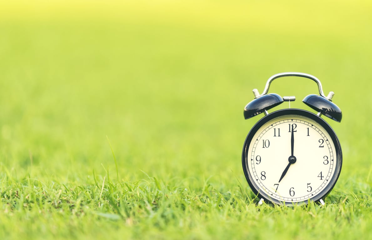 The best time to water your lawn in a heat wave