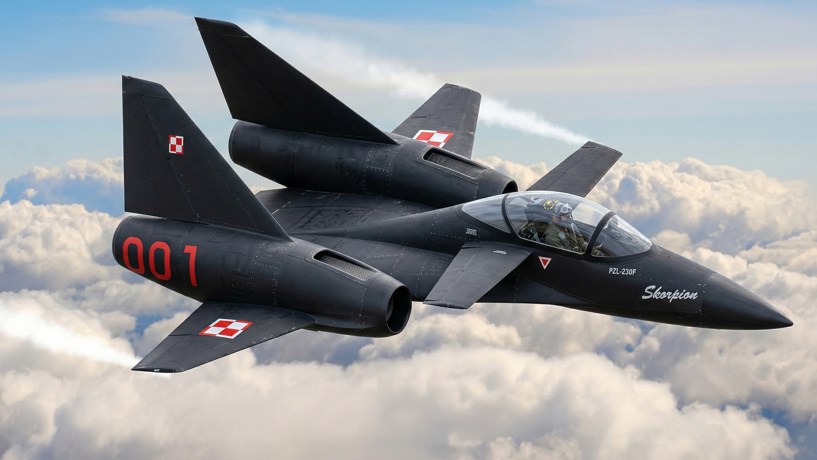 Meet the Polish A-10 killer - the Scorpion that almost flew