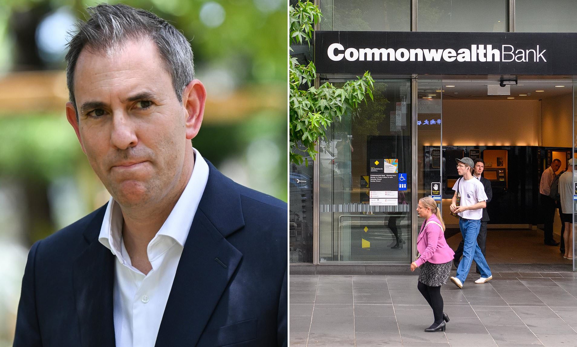 Commonwealth Bank suffers its biggest share plunge on record after ...