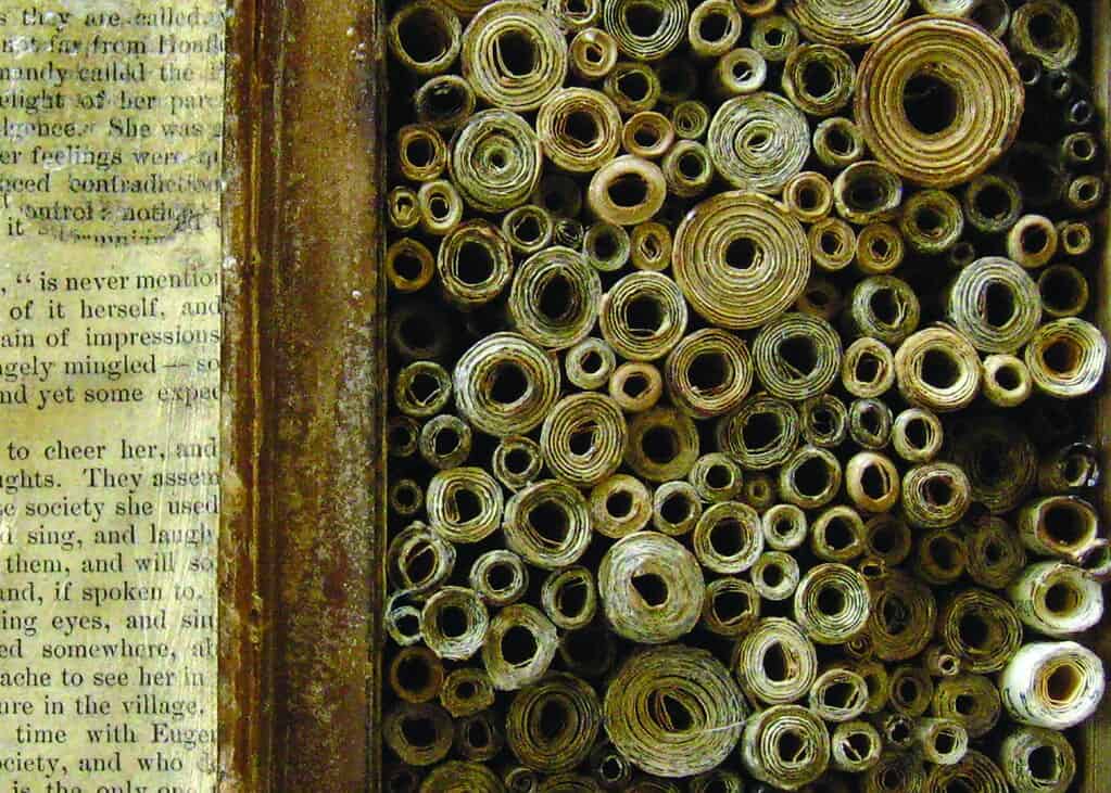 10 historical facts everyone believes that are actually false