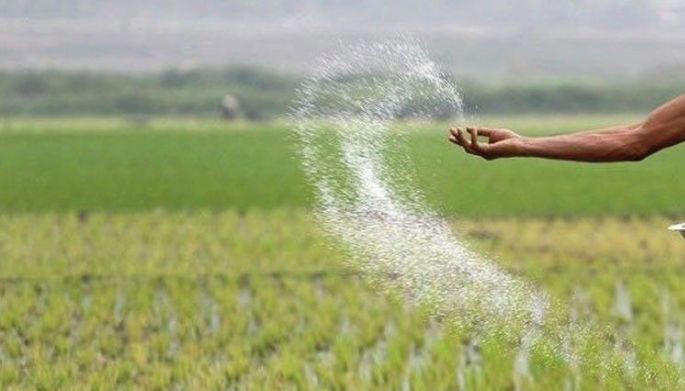 Cereals and fertilizers inflation