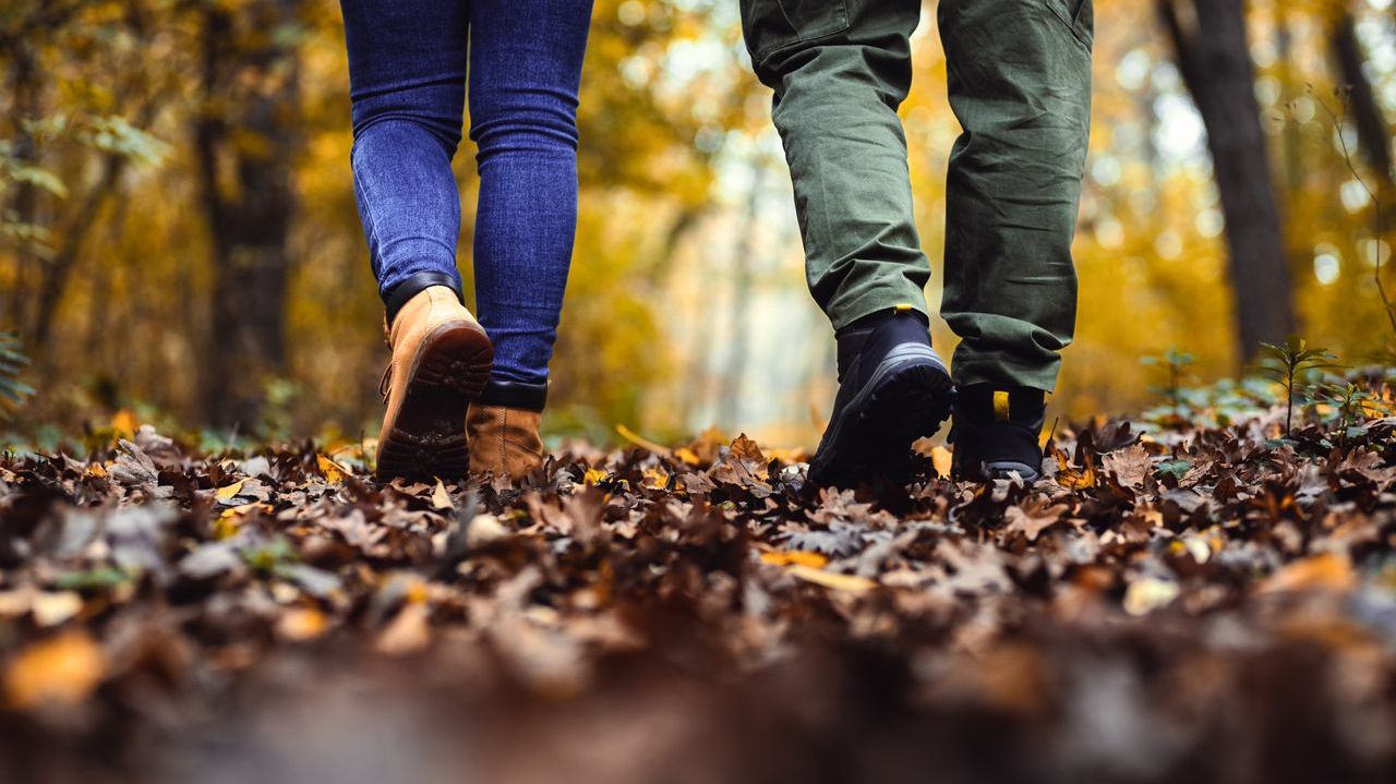 What walking a mile a day does to your body