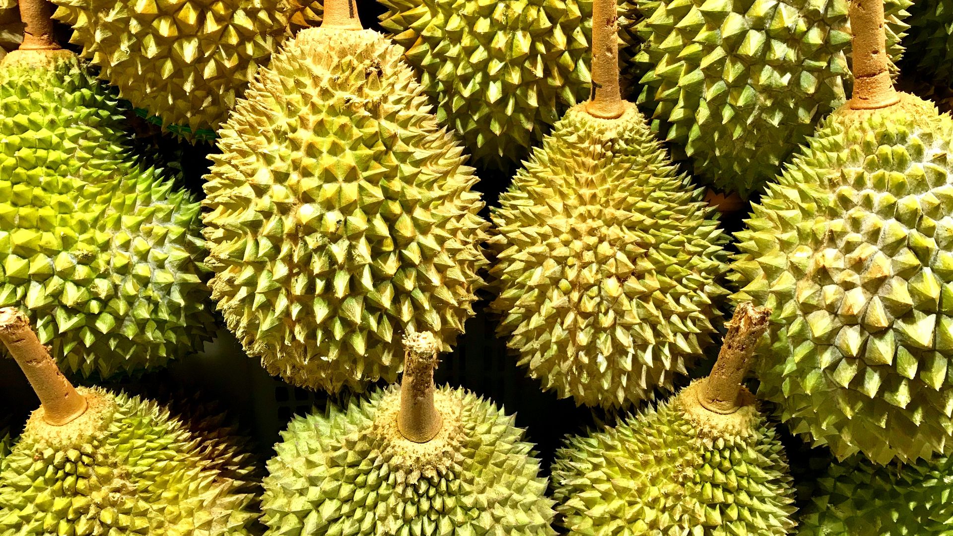 10 of the most universally “yucky” foods & 10 of the most unanimously loved
