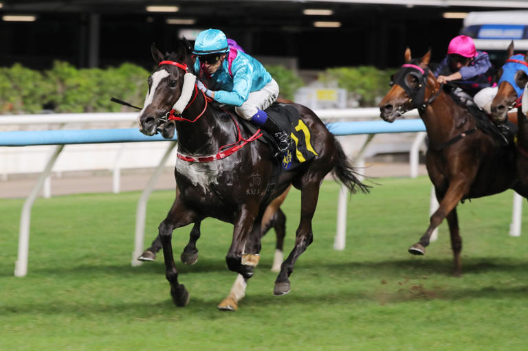 Danny Shum hits the front in trainers’ championship with dominant Happy ...