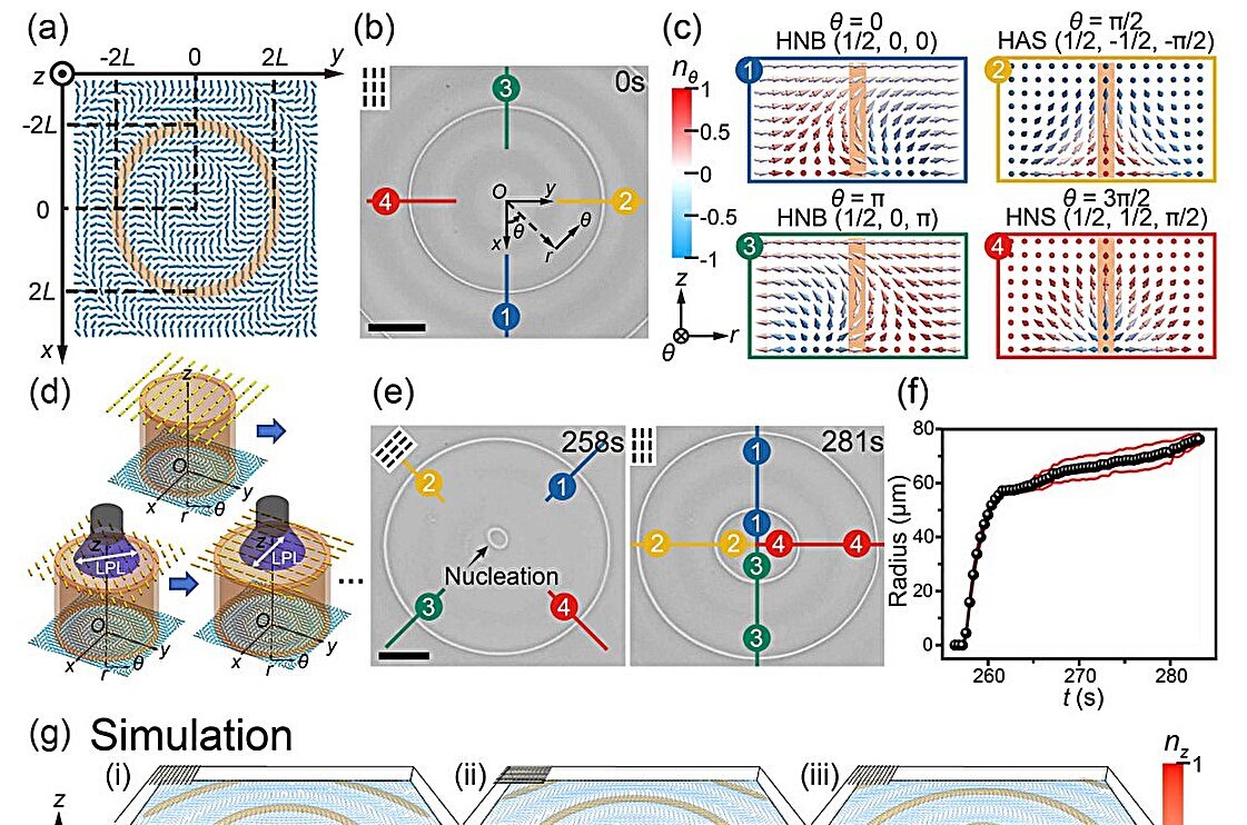 Twisted liquid-crystal structures unlock on-demand skyrmions at room ...