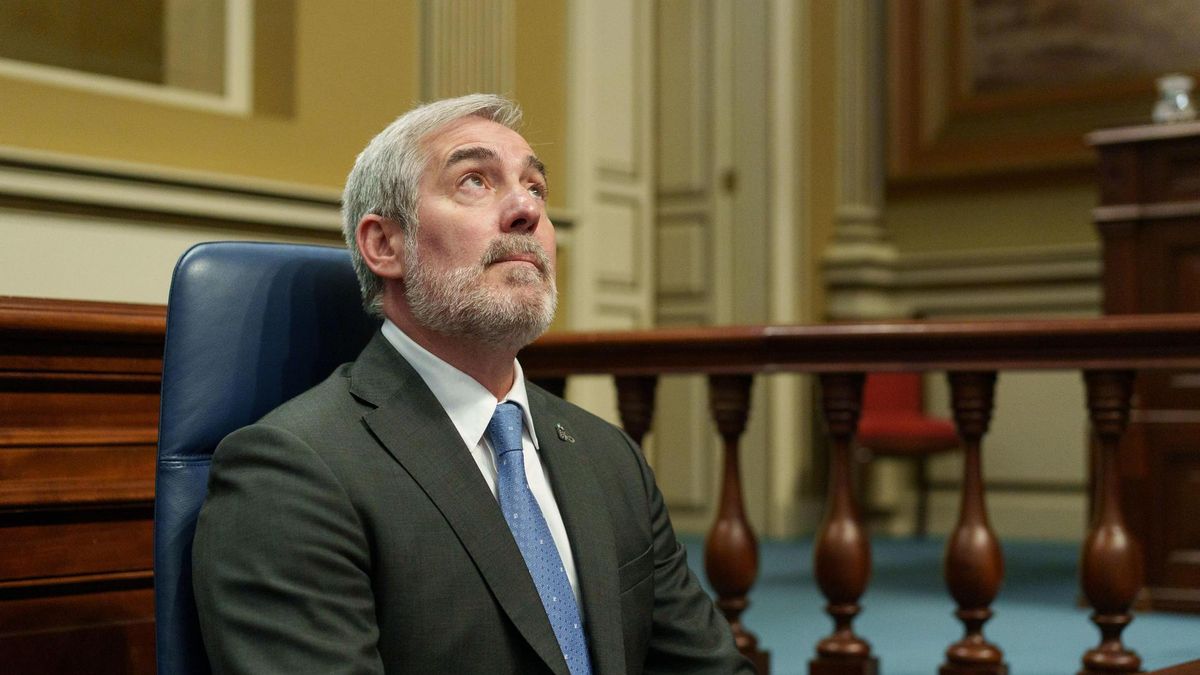 El arte de mediar (a propósito de unas ratas nadadoras)