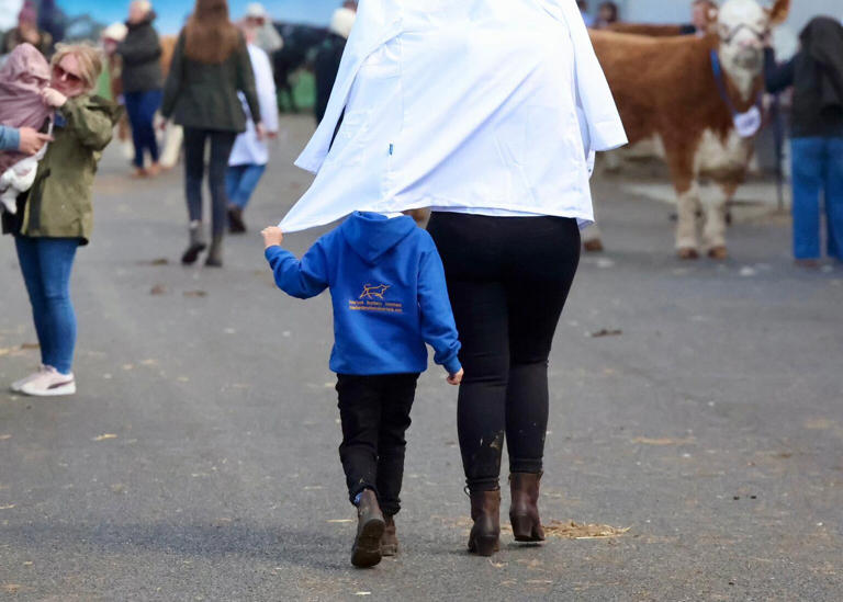 Balmoral Show 2026: Weather fails to dampen buzz as families flock to ...