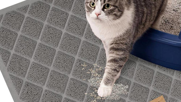Amazon's 'awesome' $10 cat litter mat has over 38,000 perfect 5-star ...
