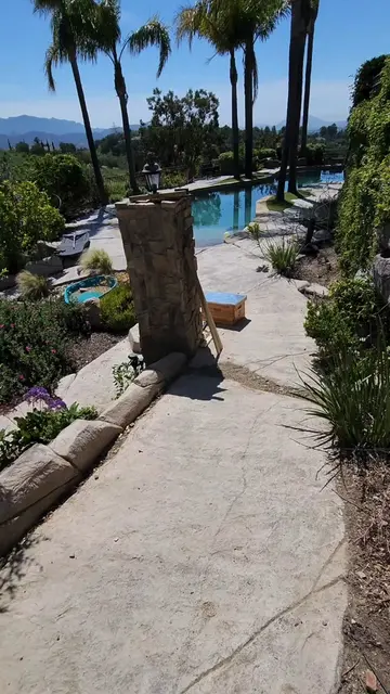 Rescuing a massive poolside beehive for the homeowner