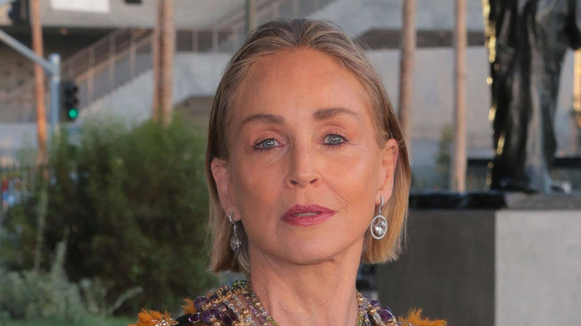 Sharon Stone reveals heartbreaking death of actor older brother Michael ...