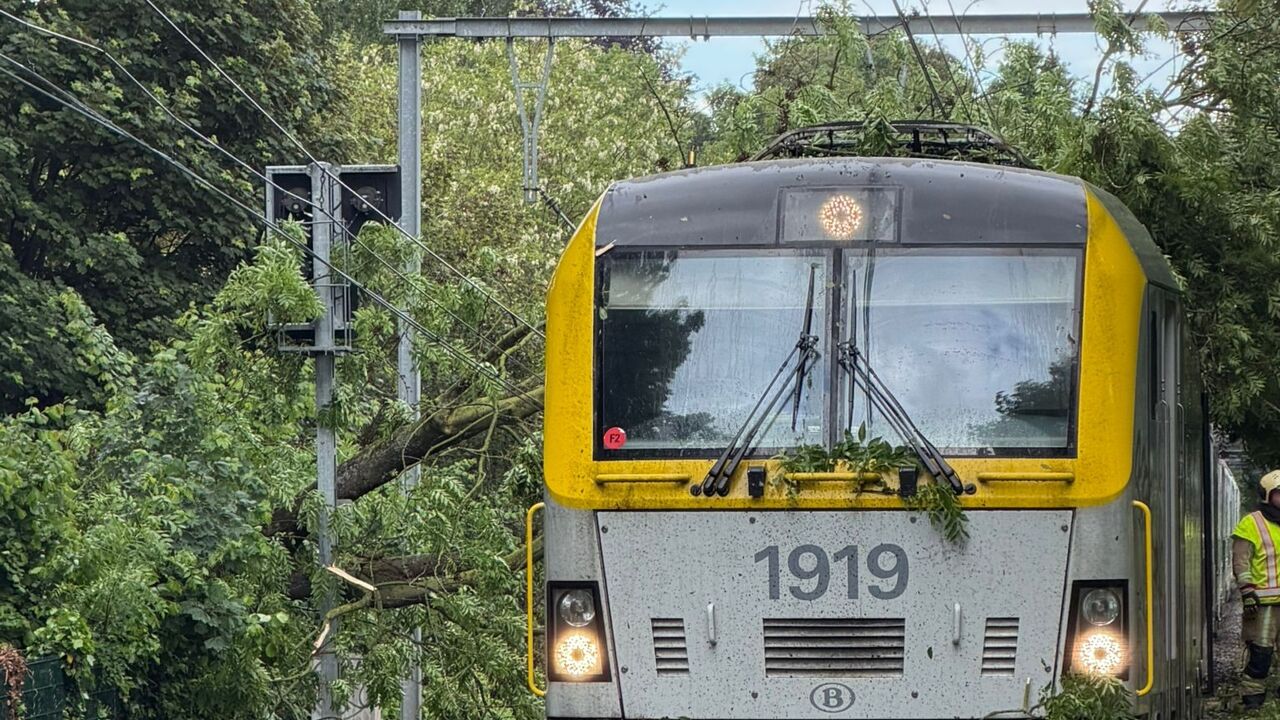 Boom valt op trein in Ukkel: 300 inzittenden ongedeerd, treinverkeer ...