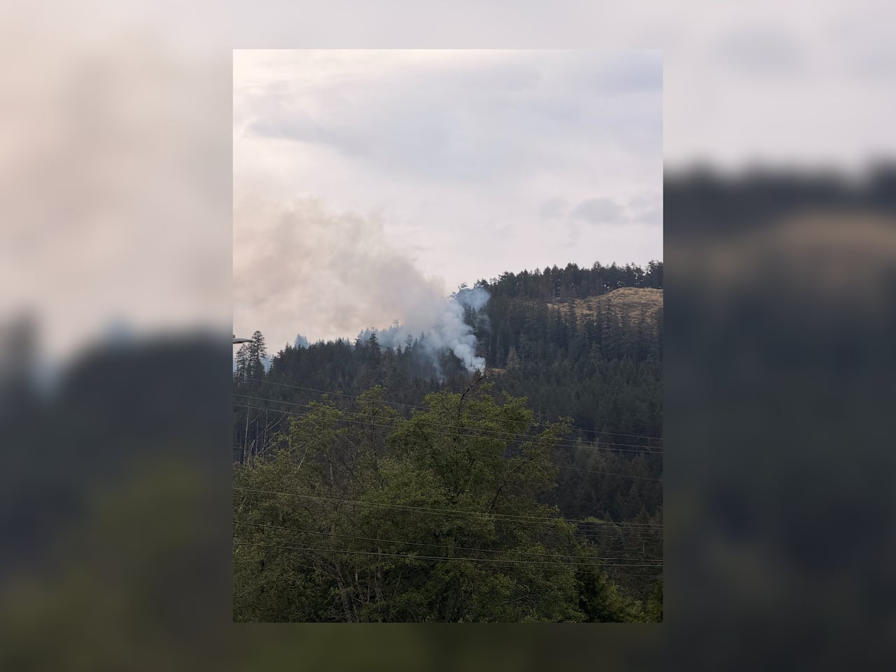 Wildfire near Port Alberni being held, says BC Wildfire Service