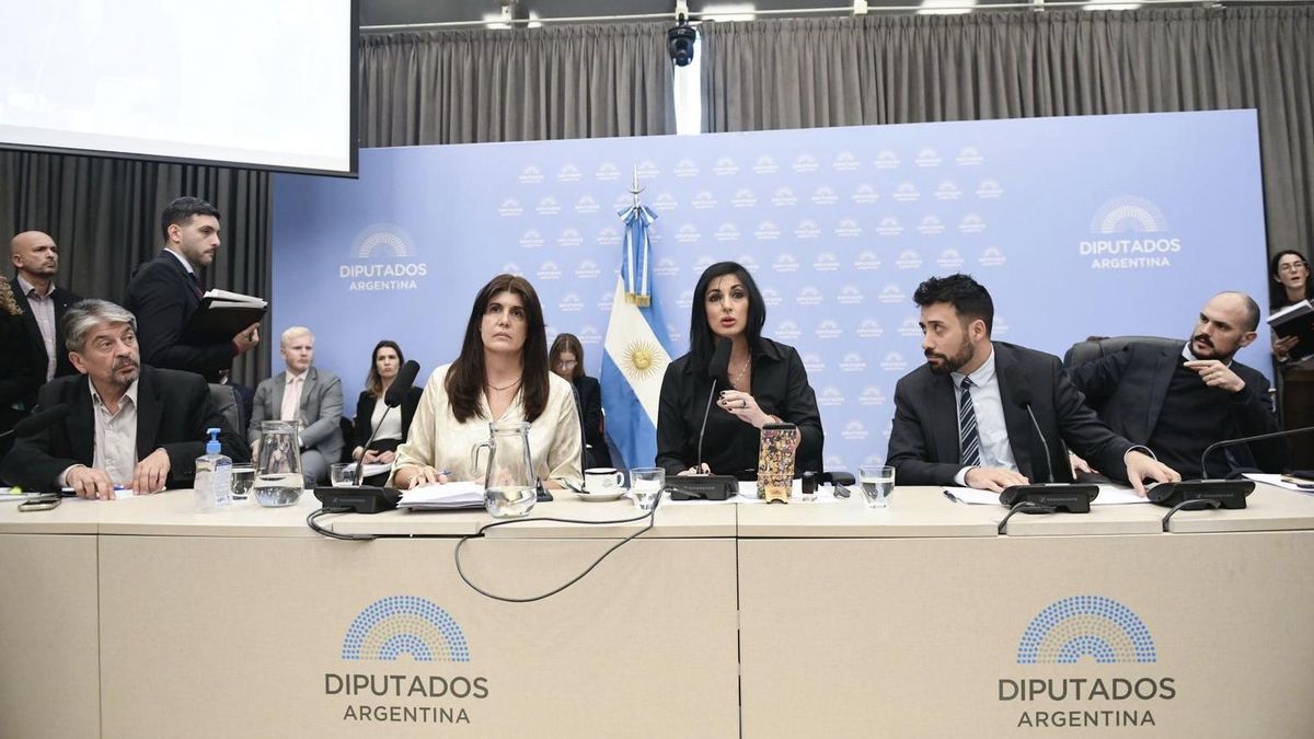 Tras el acuerdo del Gobierno con las farmacéuticas, avanzó en Diputados ...