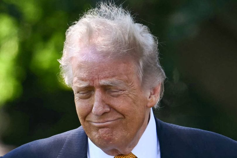 Fox News viewers turn on Donald Trump as they rage 'you are a lunatic ...