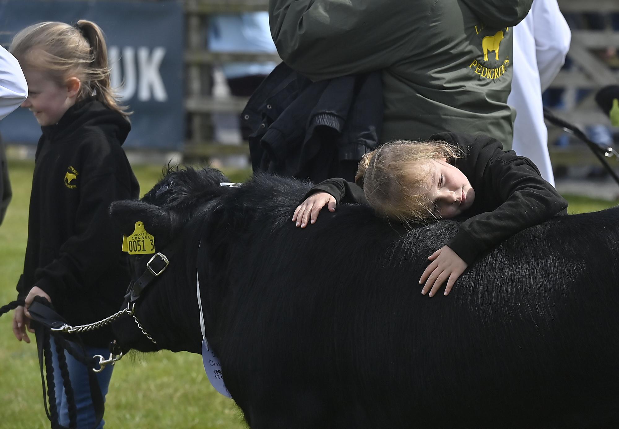 Balmoral Show: Food security centre stage at beginning of pivotal four ...
