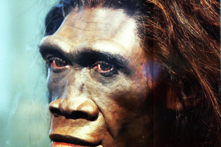 Ancient teeth reveal early humans mated with ancestor Homo erectus