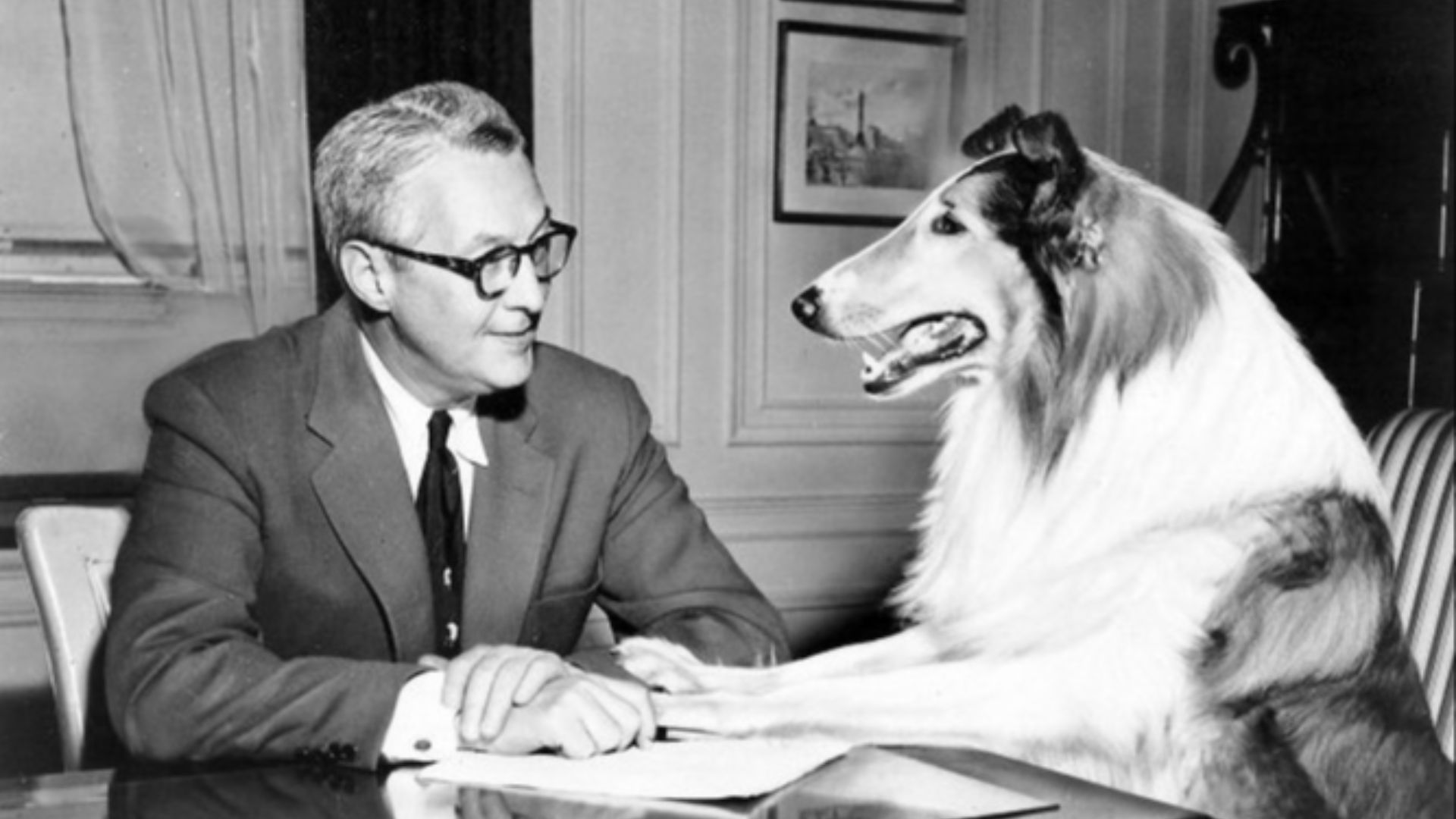 20 most famous dogs in history