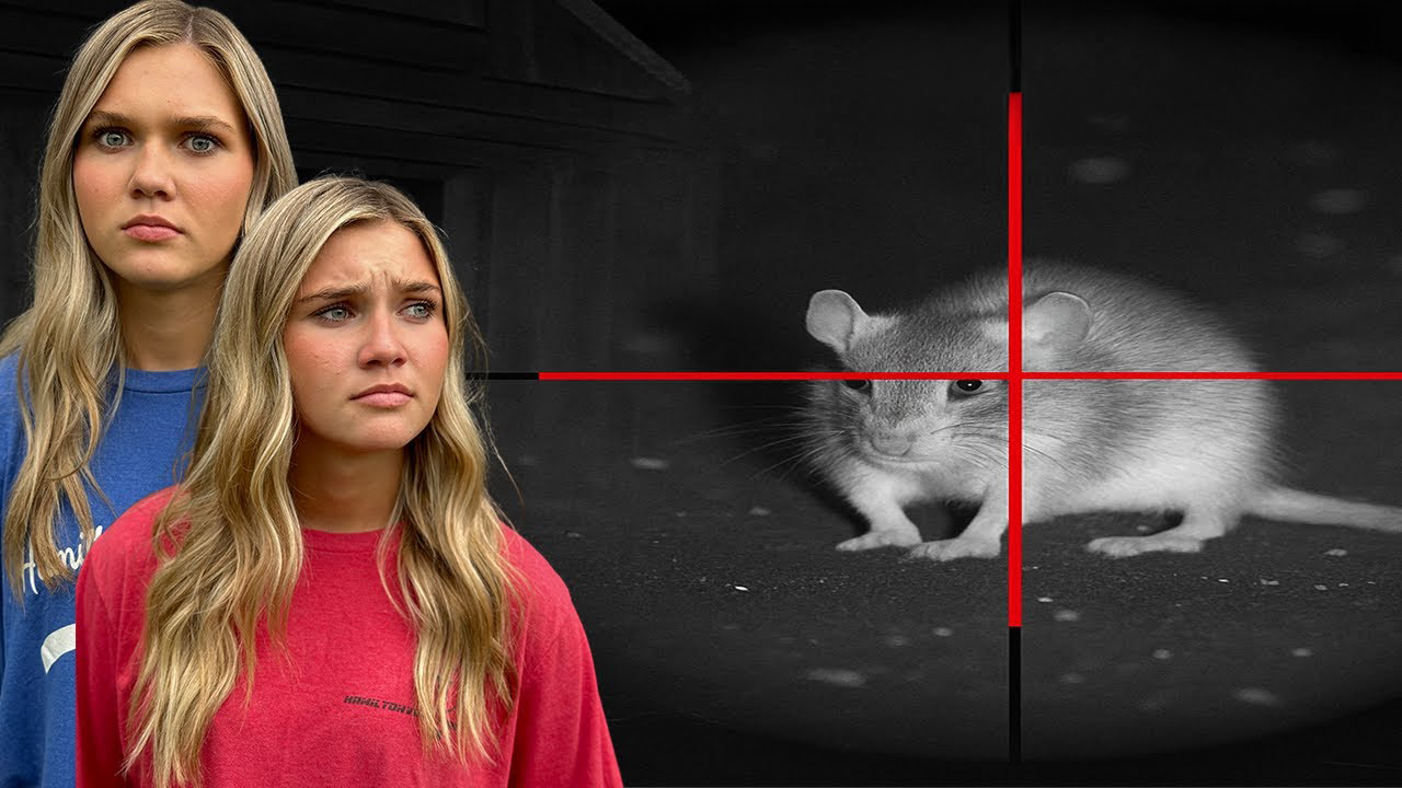 Barn rat problem solved