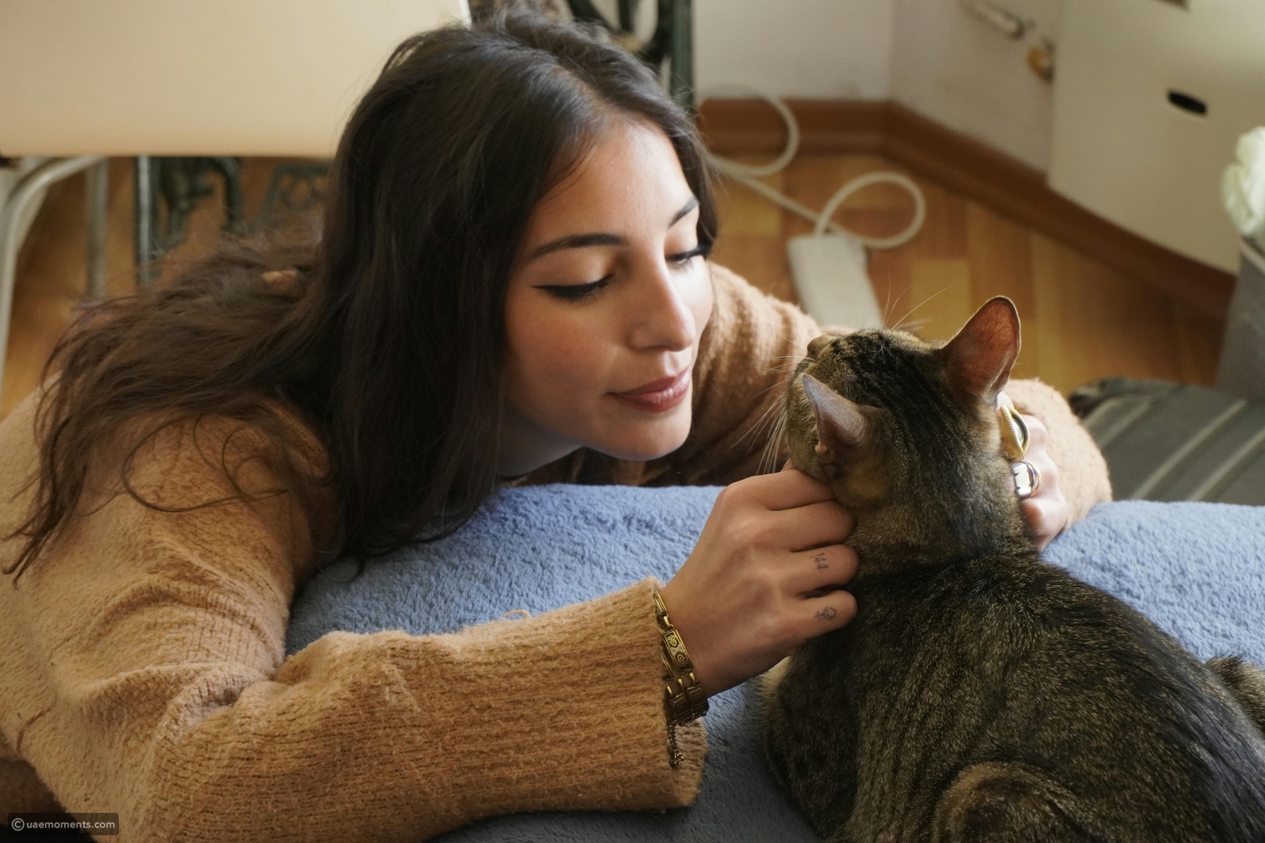 Why your cat avoids cuddling and how experts say to fix it