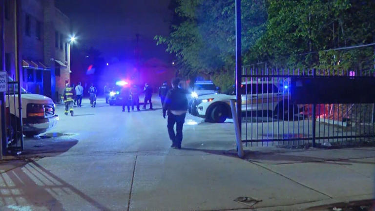 Man arrested after fist fight on Eisenhower Expressway