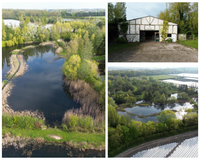 Angler's dream - chance to buy your own fishing lake in Tarleton