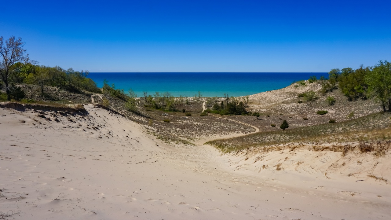 Sand dunes, wild orchids, and Chicago skyline views: Indiana’s secret ...