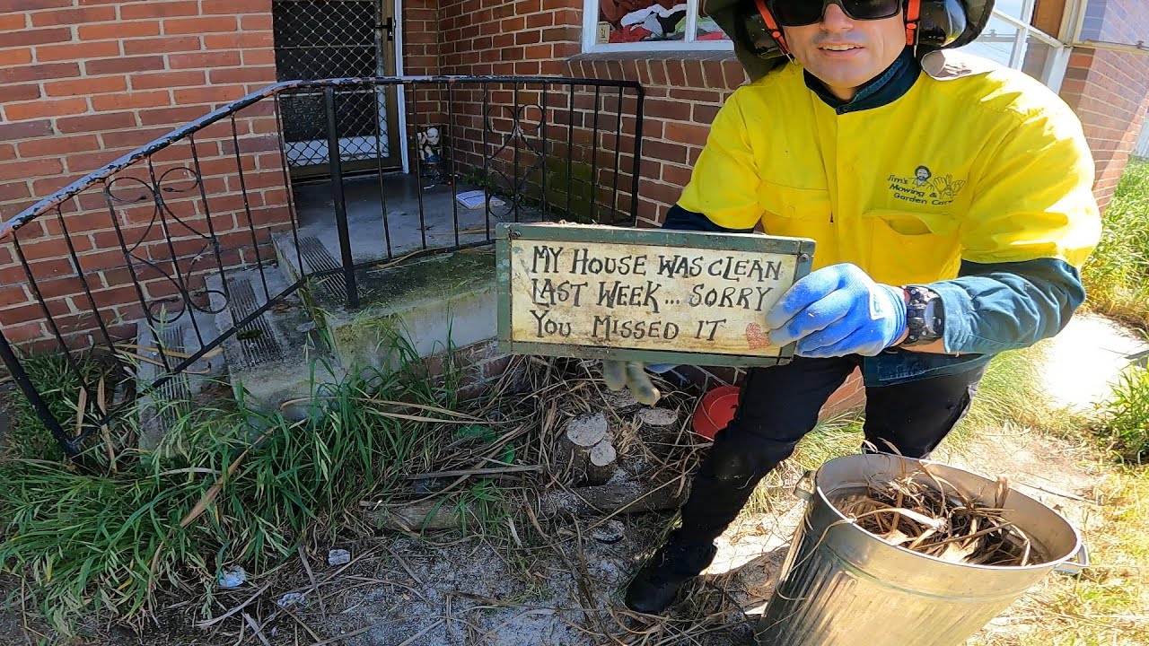 I transformed an overgrown yard for free! 🌱