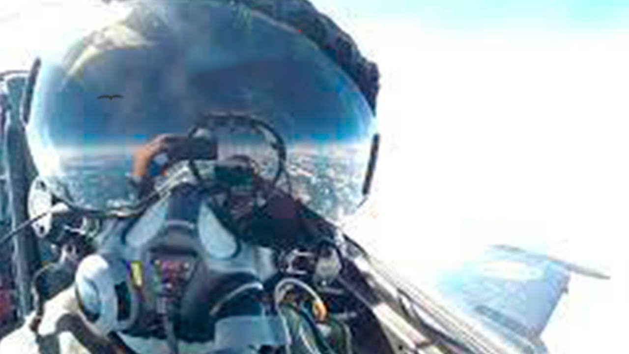 Cockpit footage captures bird strike that triggered mid-air emergency