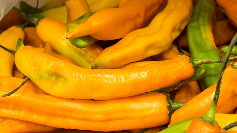 6 types of Peruvian peppers you should know