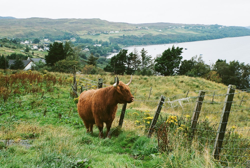 14 brilliant ferry rides linking stunning island chains