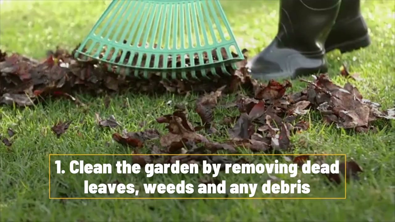 Six essential gardening tips for springtime