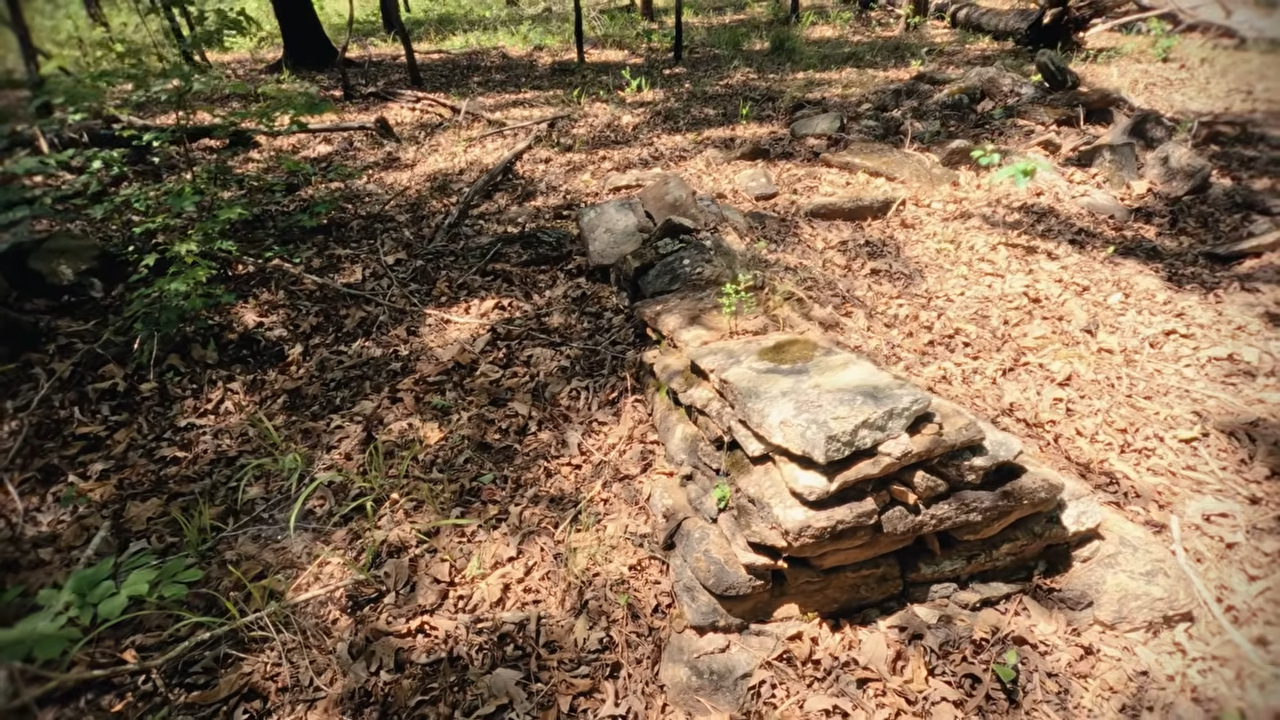 This lost Georgia cemetery looks like somebody wanted the dead forgotten