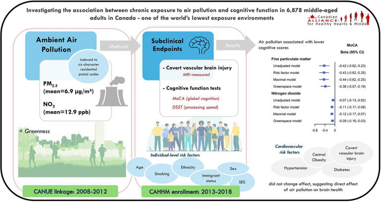 Everyday air pollution linked to poorer brain function, study finds