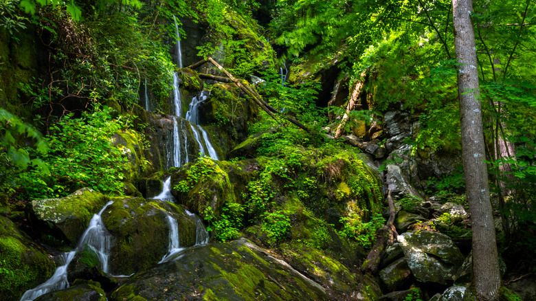 Tennessee's scenic mountain waterfall in Gatlinburg sits along a lovely ...