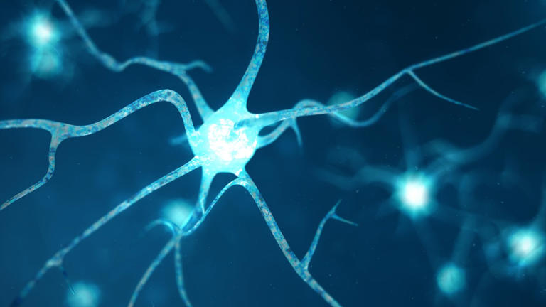 A single protein can force the brain to clear its own Alzheimer’s ...