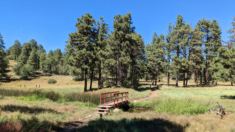A rural suburb on the edge of Arizona's largest ponderosa pine forest ...